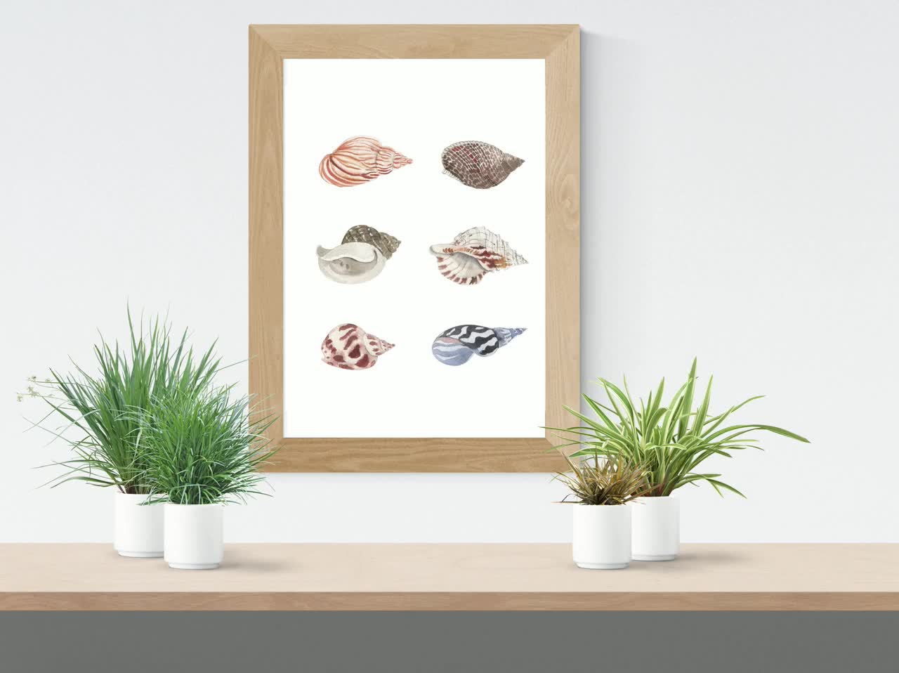 Digital Prints Prints Art & Collectibles Boho sea shell display wall ...